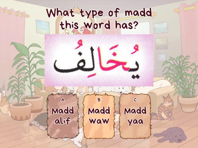 Madd rules( beginners) - Quiz