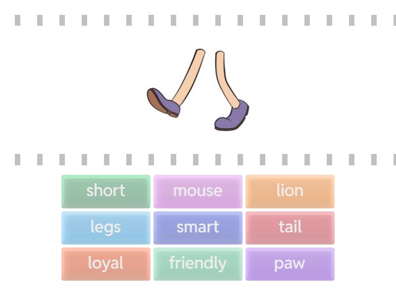 UNIT 4 WEEK 2 YEAR 2 - Find the match