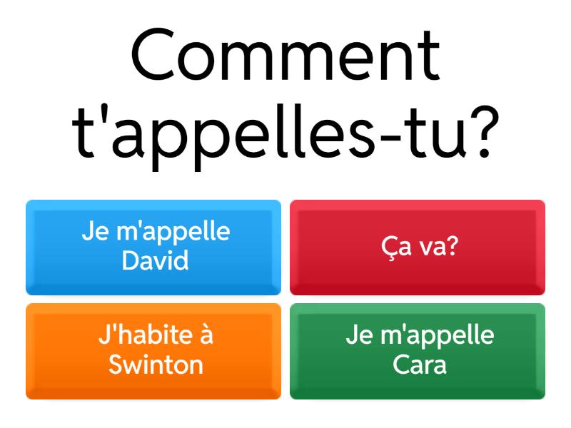 REVISION AND REVIEW: BASICS IN FRENCH - Quiz