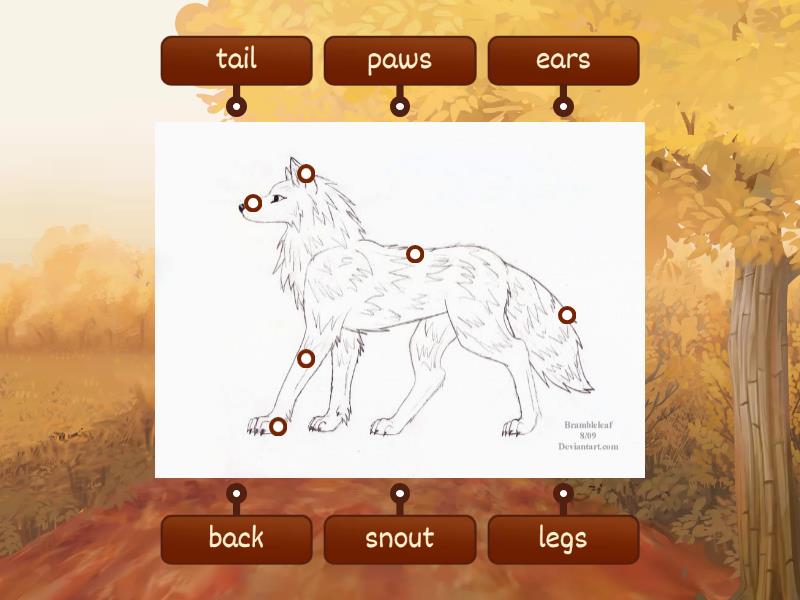 wolf diagram - Labelled diagram