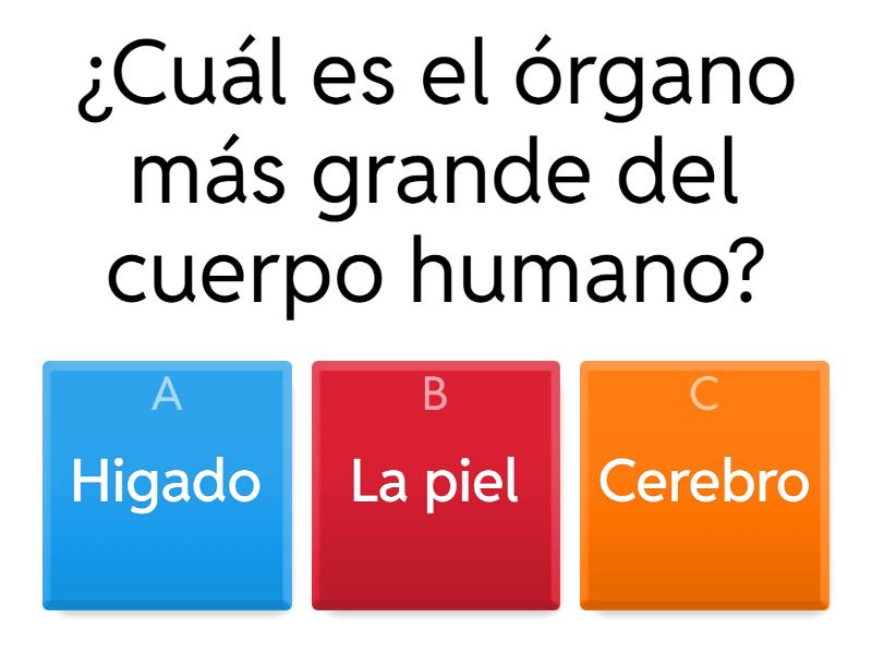 El cuerpo humano - Quiz