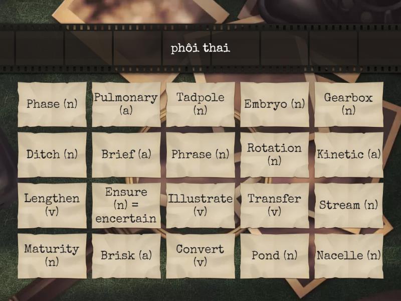 Process Writing task 1 - Find the match