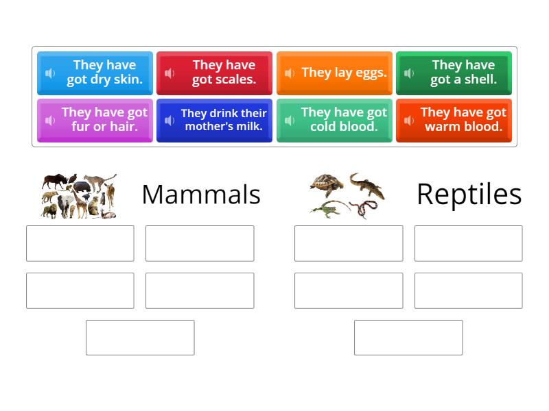 Mammals vs. reptiles. - Group sort