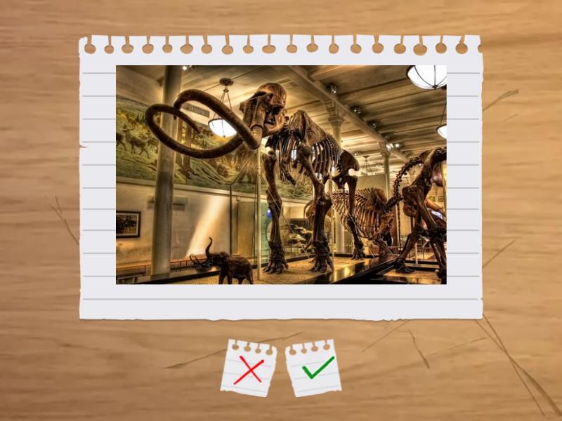 Project 1 - 7C - vocabulary - Flash cards