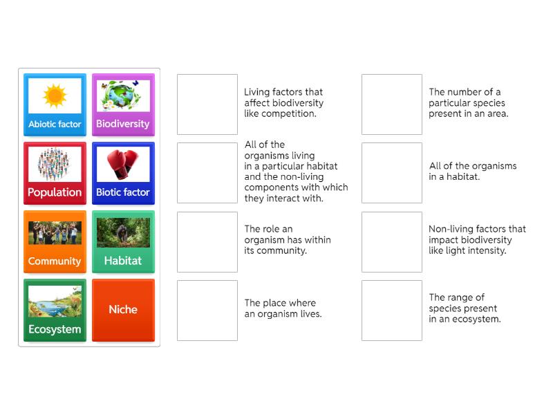 Ecosystem terms - Match up