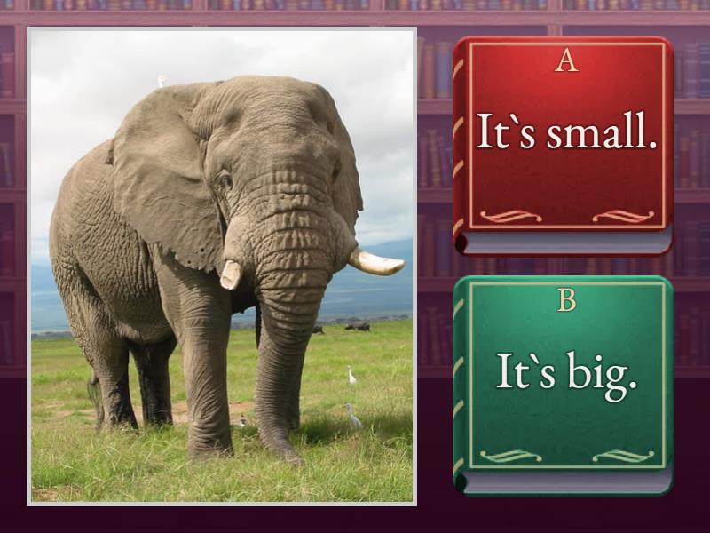 Beehive starter unit 6 - Quiz