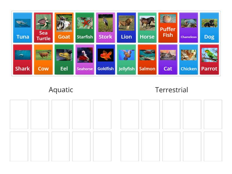 Aquatic or Terrestrial - Group sort