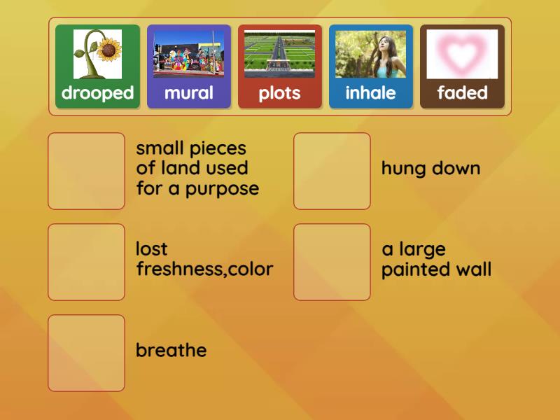 The Garden of Happiness - Match up