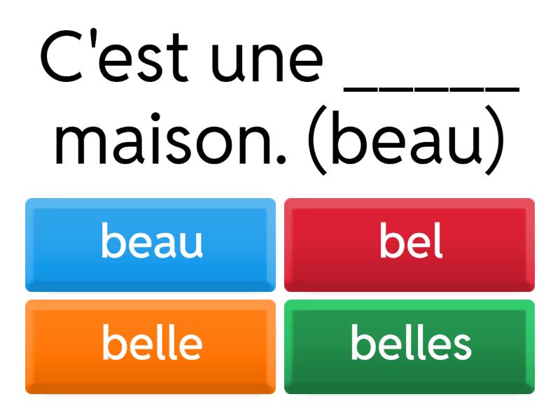 Irregular adjectives BEAU VIEUX NOUVEAU - Quiz