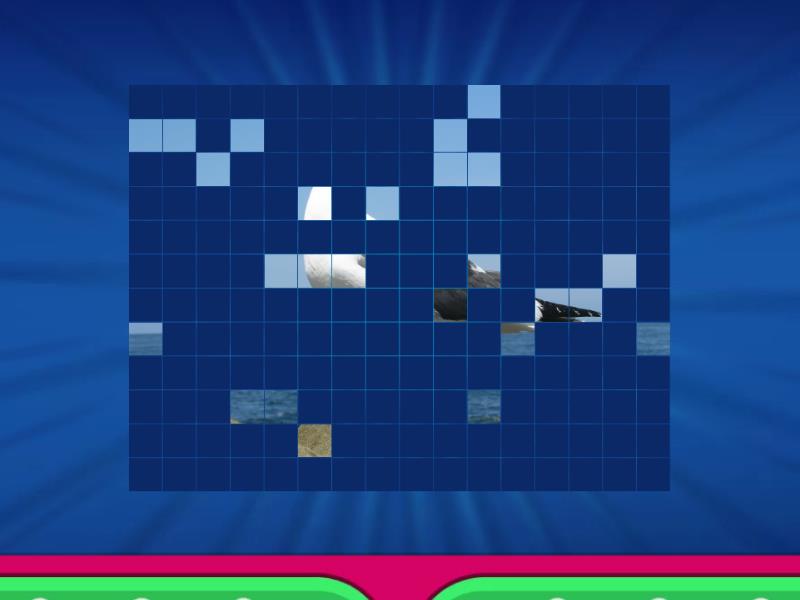 The Big Orange Splot Vocabulary - Acertijo visual