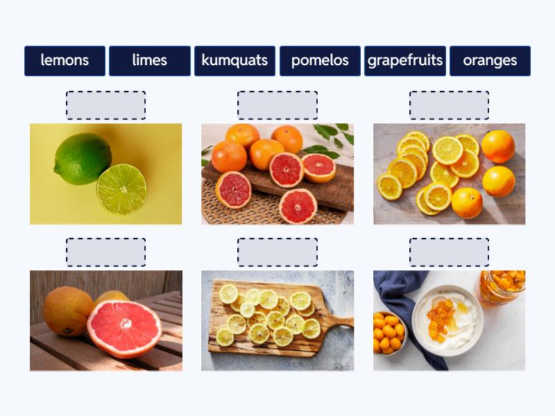 CITRUS FRUITS - Match up