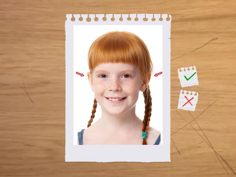 Face and hair - Flash cards