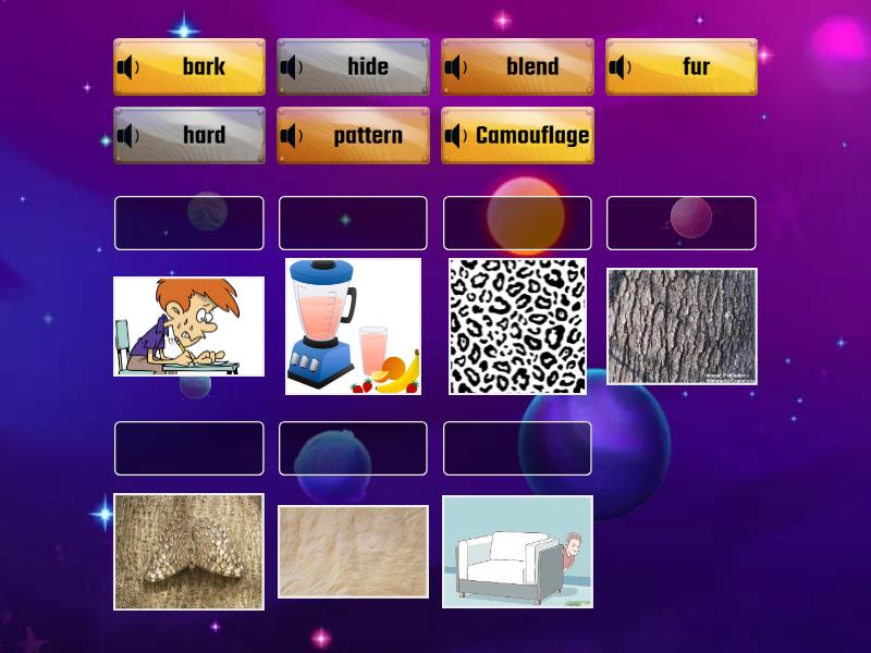 Unit 4 exercises - Match up