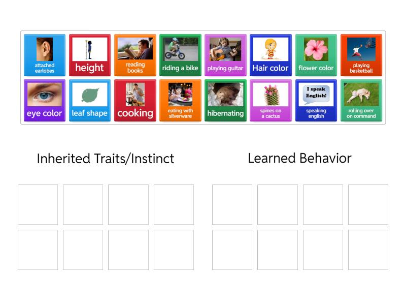 Inherited Traits/Instinct or Learned Behavior - Group sort
