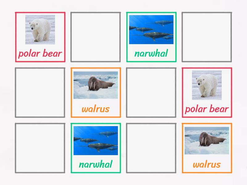 Arctic Animals Matching Game - Matching pairs