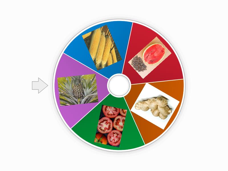 "FLIP AND FIND MY PARTNER" - Spin the wheel