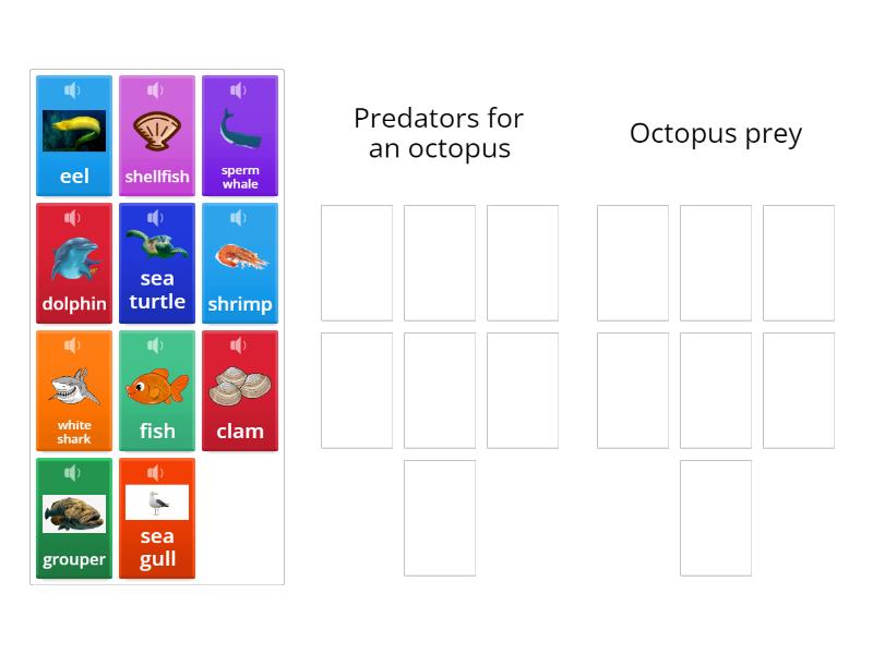 Octopus escapes again - Group sort