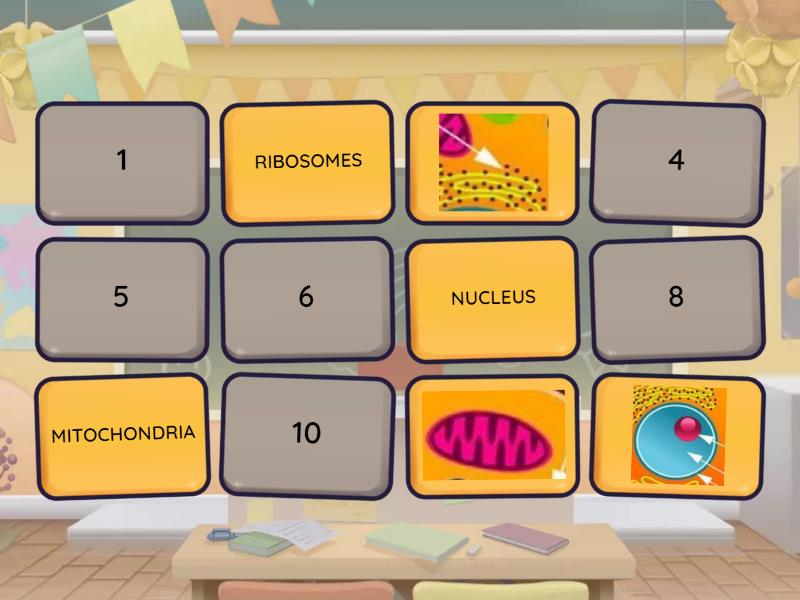 MEMORY GAME CELL ORGANELLES - Parejas