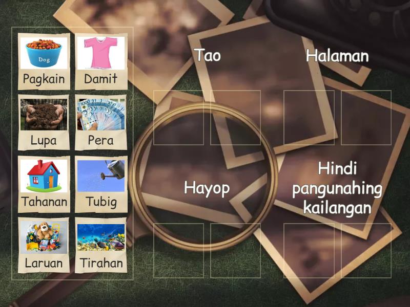 Tao, Halaman, Hayop: Hanapin ang Kailangan!” - Group sort