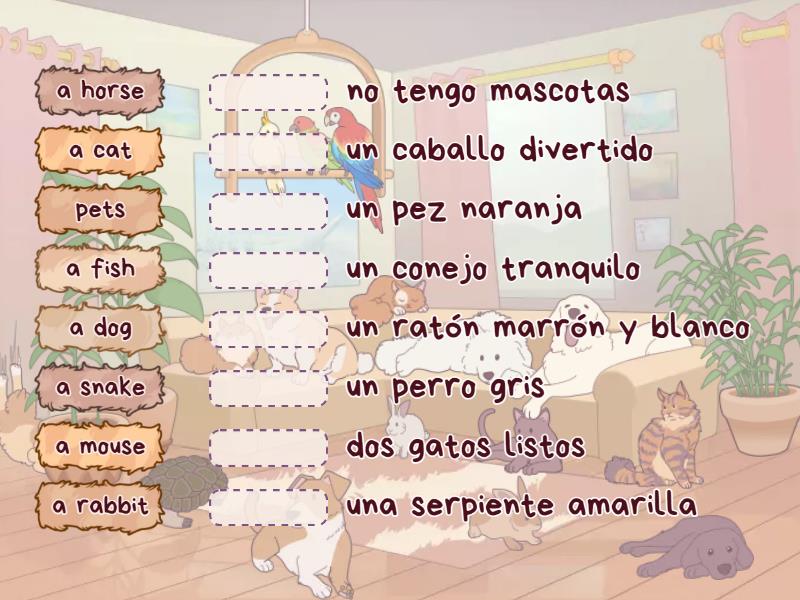 ¿Tienes mascotas? - Une las parejas