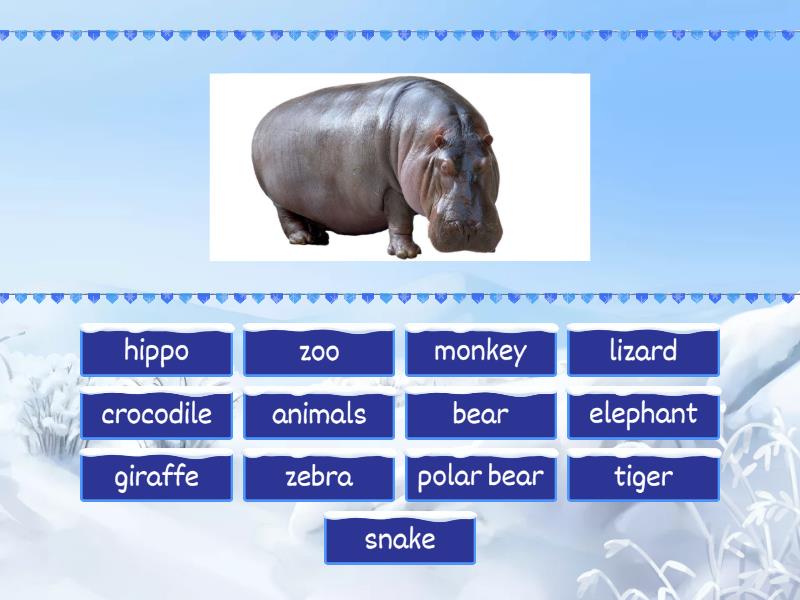 Power Up 1 Unit 6 Animals - Find the match