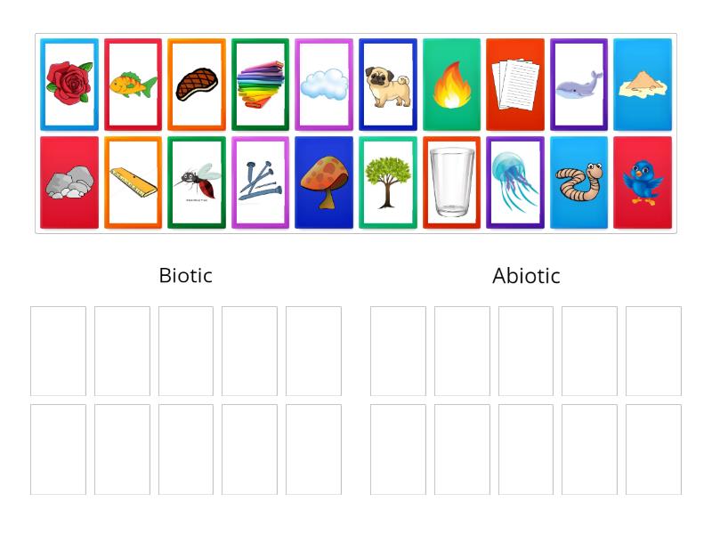KS3 Biotic and Abiotic - Group sort