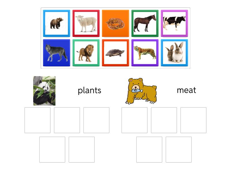 What do these animals eat? - Group sort