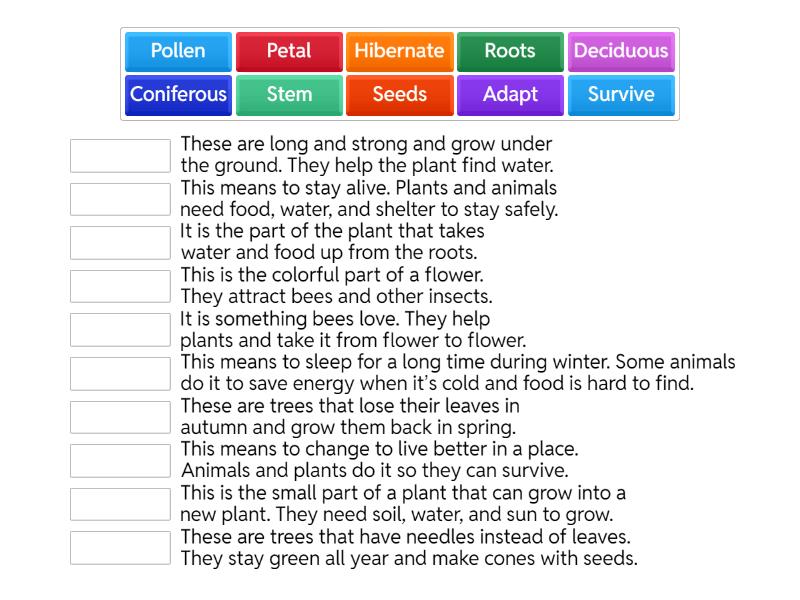 Spelling test 3 - Match up