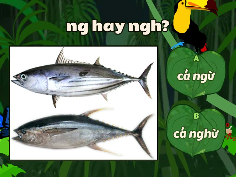 Em tập phân biệt ng và ngh qua từ và hình minh họa - Quiz