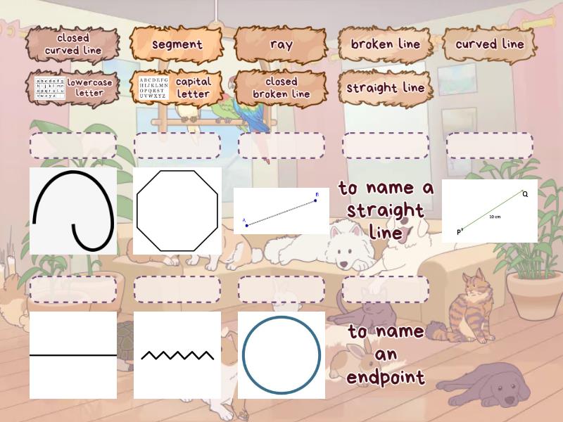 2D Lines Review - Match up