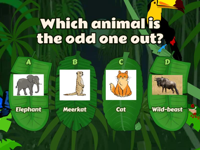 African Animals - Odd One Out - Quiz