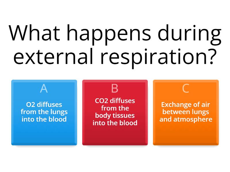 Respiratory system - Quiz