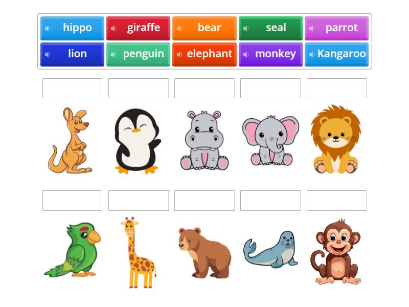 zoo animals - Match up