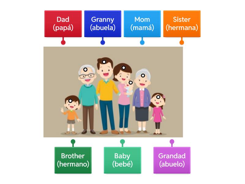 My family (mi familia) - Labelled diagram