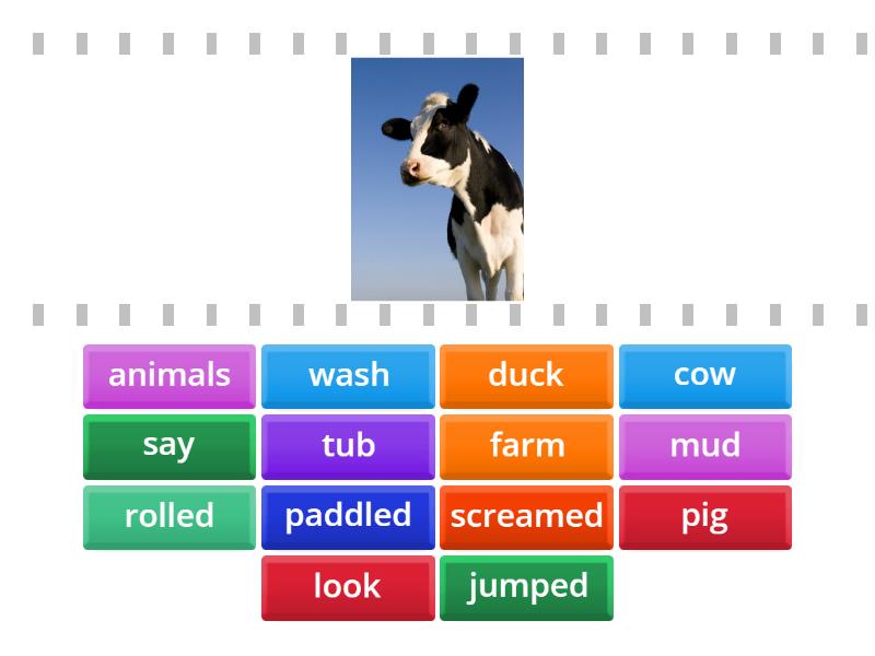 Mrs Wishy Washy - Vocabulary - Find the match