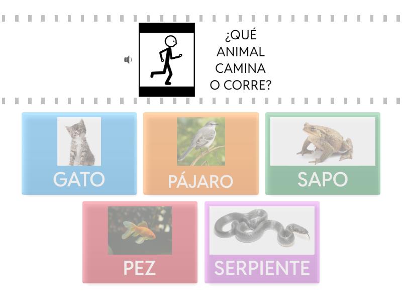 ¿CÓMO SE MUEVEN LOS ANIMALES? - Cada oveja con su pareja