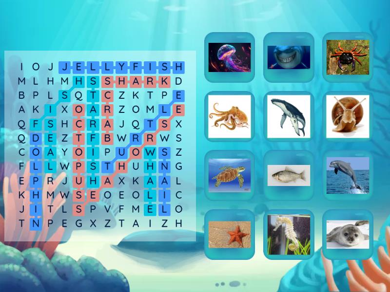 Sea animals - Wordsearch