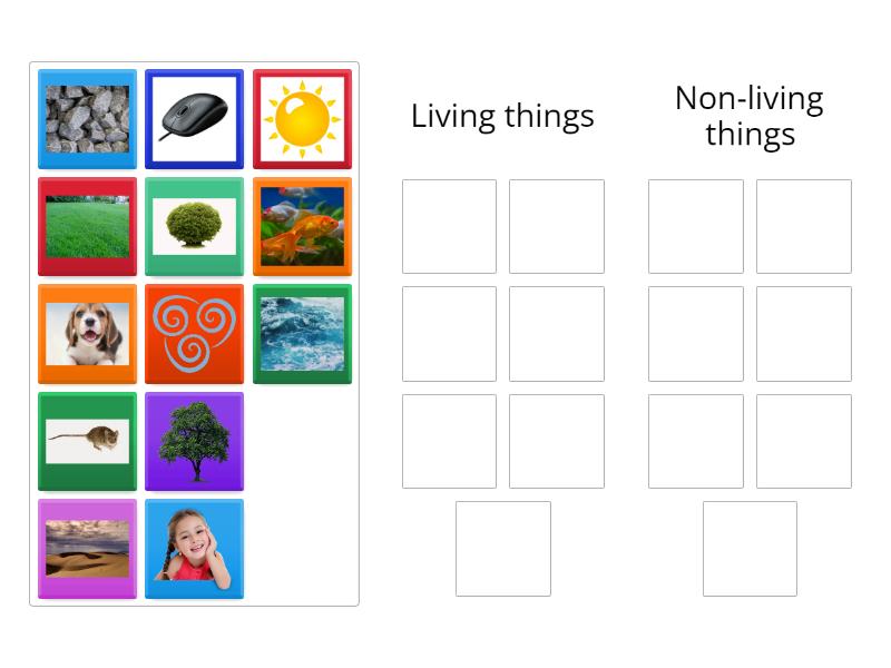 Living and non-living things - Group sort