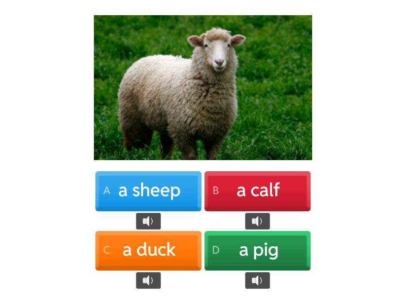 Project 2, Unit 2A, Animals - Quiz