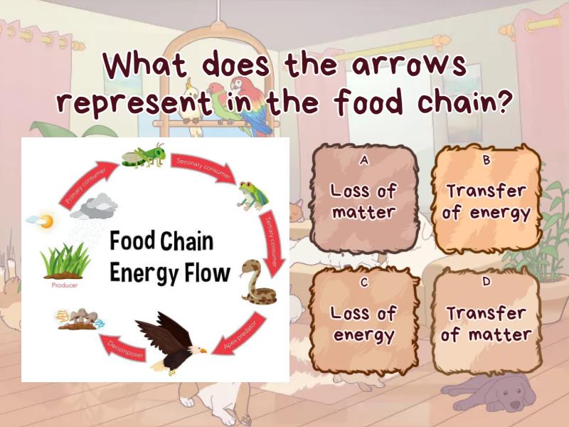 Nutrition in Ecosystem / Food Chain - Quiz