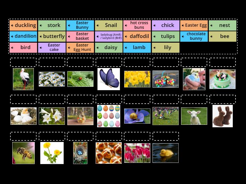 Easter Vocabulary (Matching) - Match up