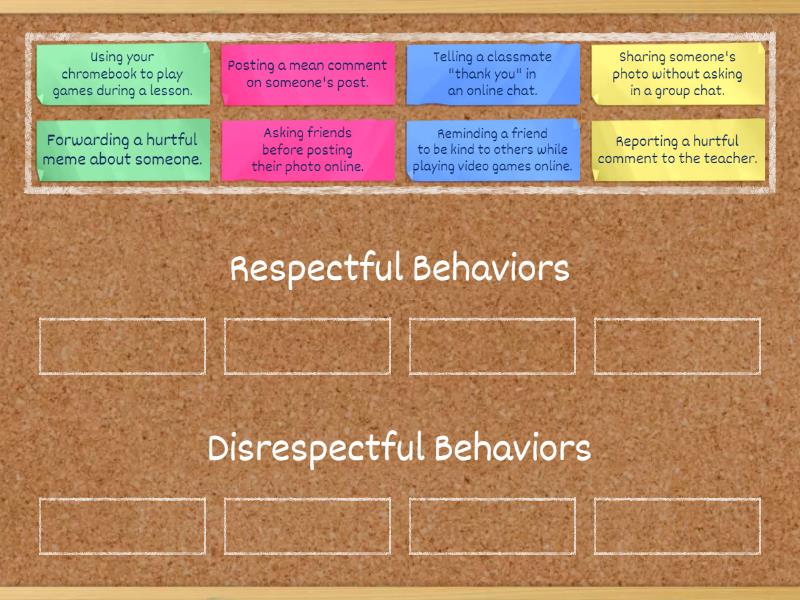 Respectful vs. Disrespectful Digital Behaviors - Group sort