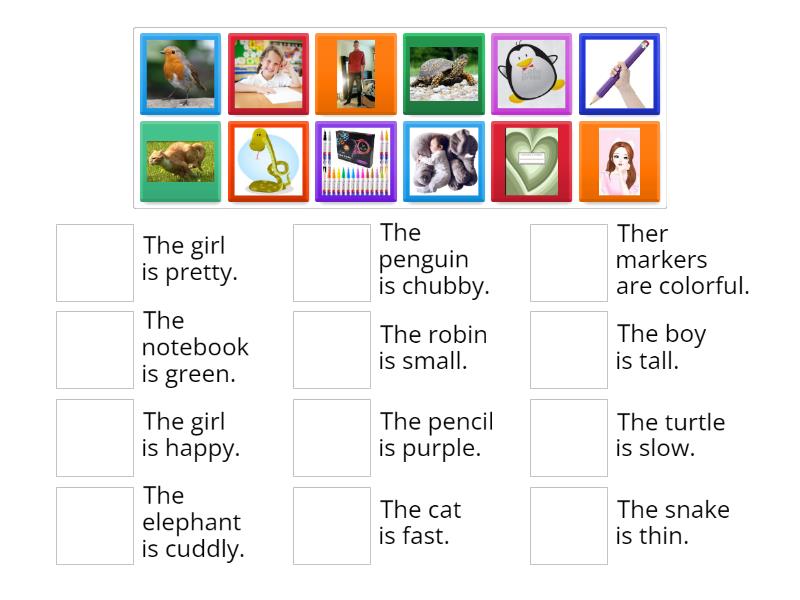Sentences - Match up