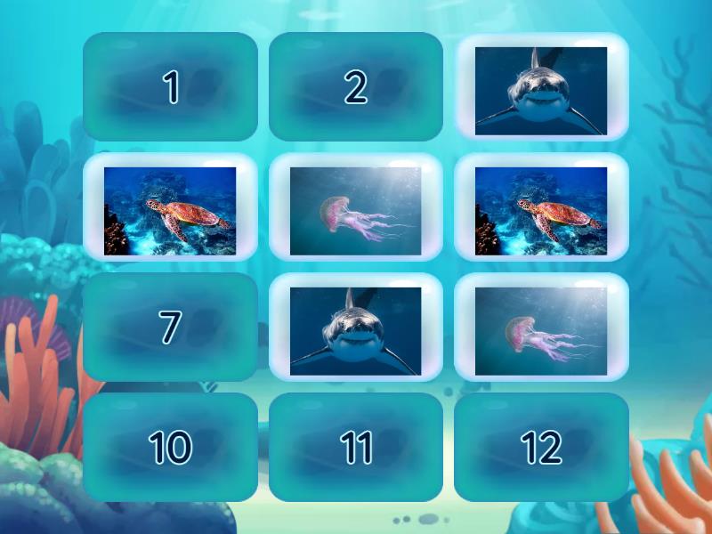 Sea animals - Matching pairs