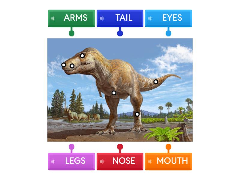 DINOSAUR BODY PARTS - Labelled diagram