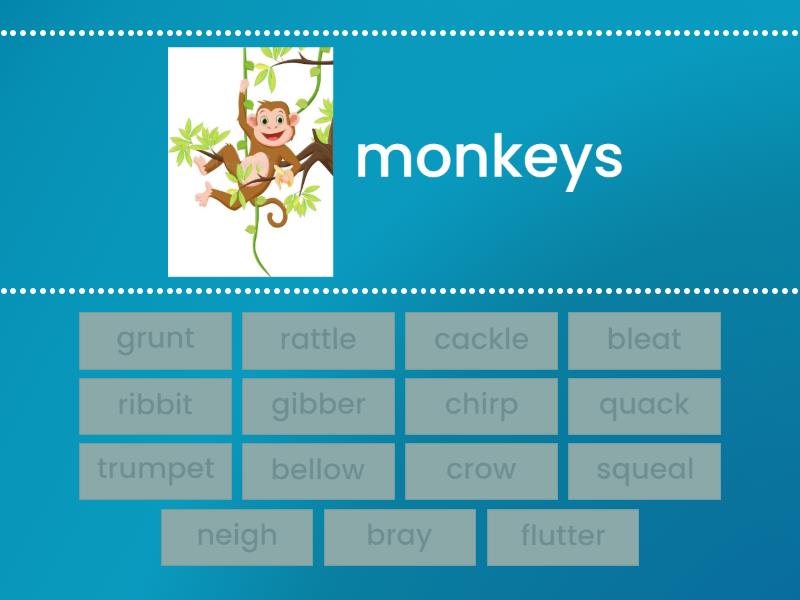 Animal Sounds Onomatopoeia - Find the match