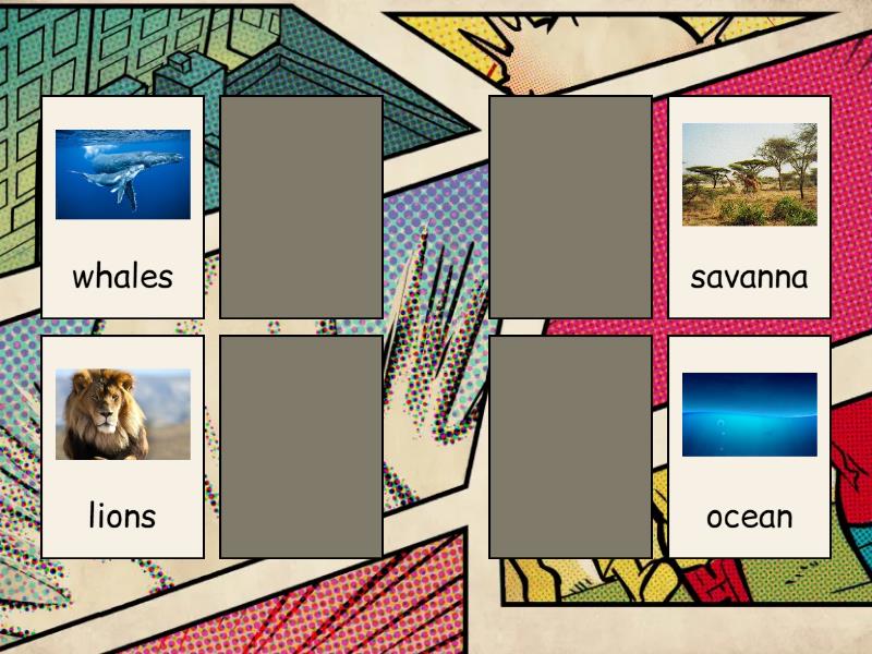 Animals and Habitats - Matching pairs