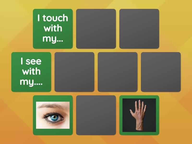 sense organs - memory game - Matching pairs