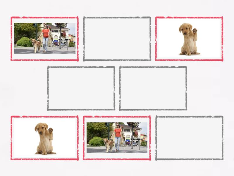 Pip Guide Dog - Matching pairs