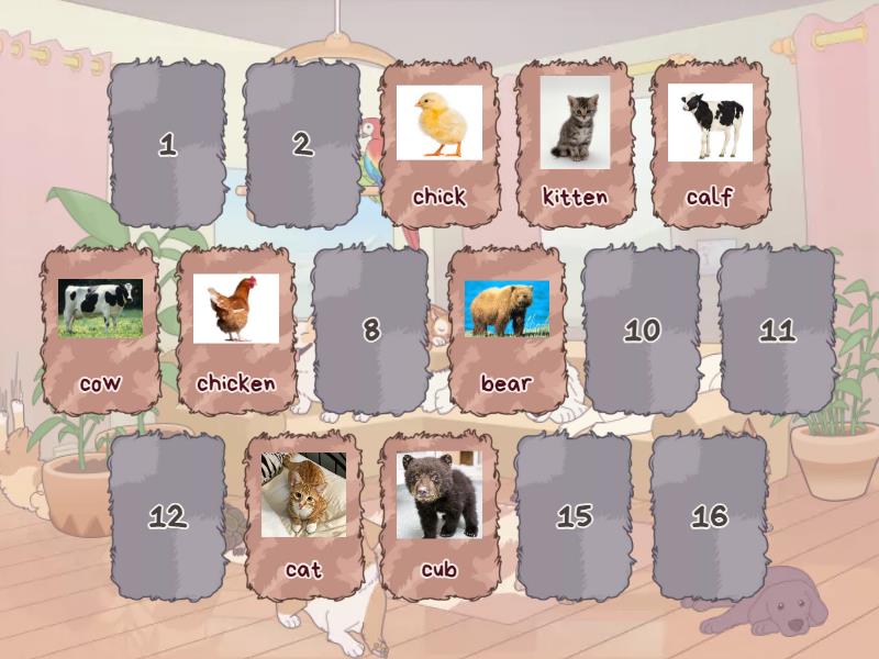 Baby animals - Matching pairs